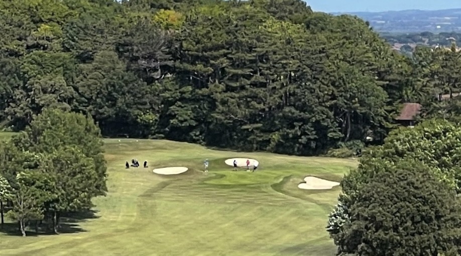 Willingdon Golf Club | | Reviews, Scorecards, Green Fees Offers, Golf ...